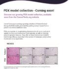 PDX models | CancerTools.org
